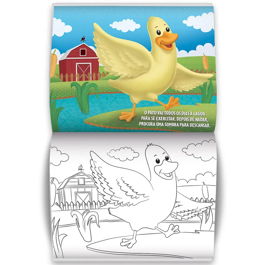 Livro Para Colorir Copie E Pinte Animais Cavalo E Galo Blu Editora